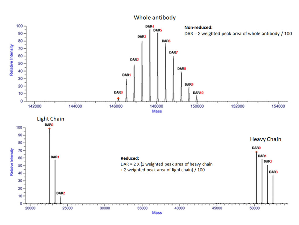Drug-Antibody Ratio (DAR) Determination - Biogenuity LLC